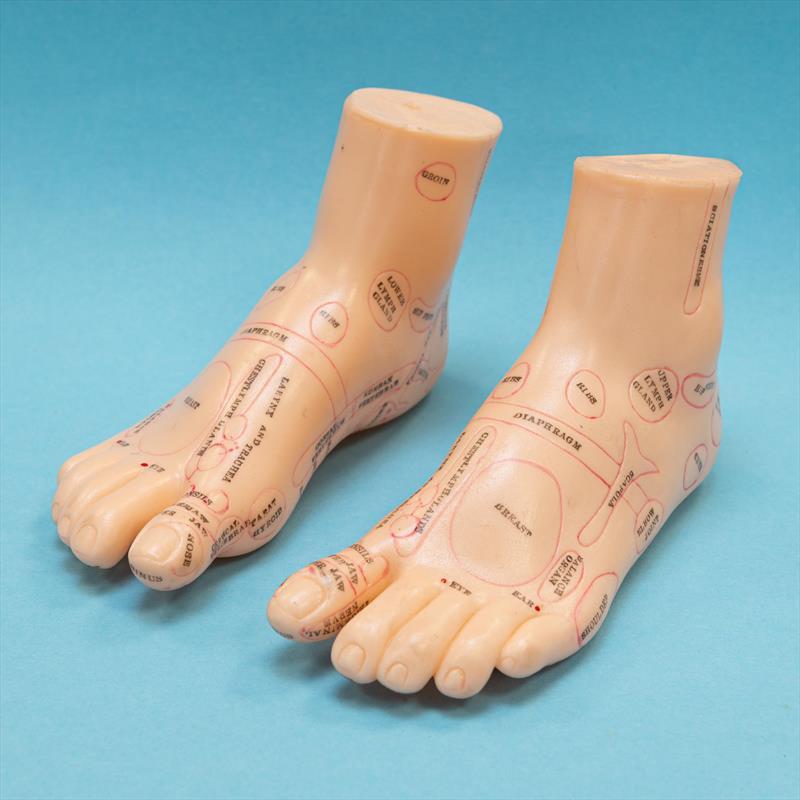 Shenzhou TCM Shop : Models