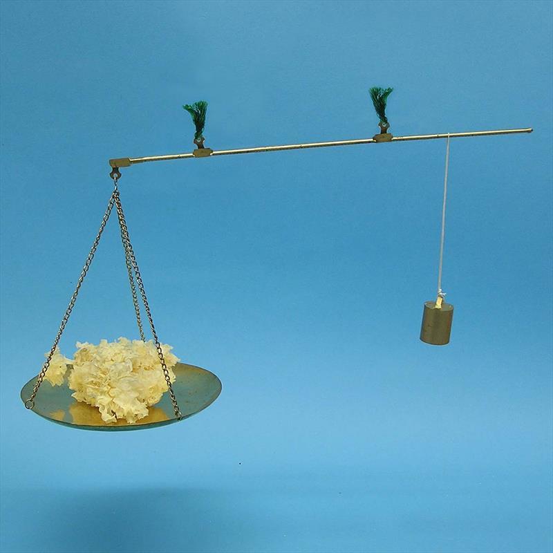 Shenzhou TCM Shop : Granules and Herbal Tea