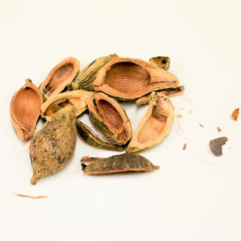 Shenzhou TCM Shop : DaFuPi Pericarpium Arecae