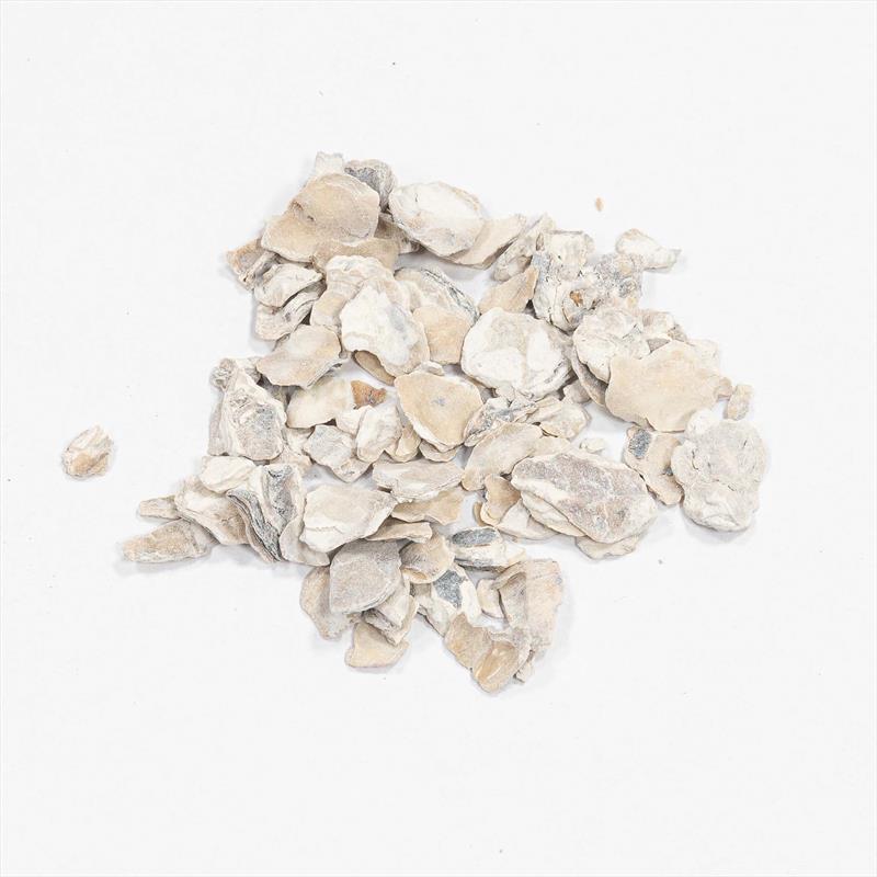 Shenzhou TCM Shop : MuLi (Duan) Granules Concha Ostreae Preparata (100g)